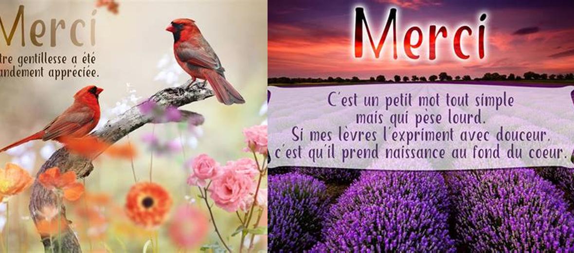 Comment remercier une personne pour sa gentillesse de manière sincère ...