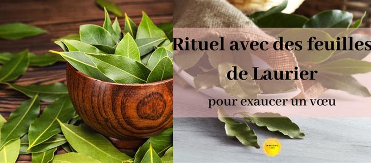Comment utiliser les feuilles de laurier dans un rituel pour la ...