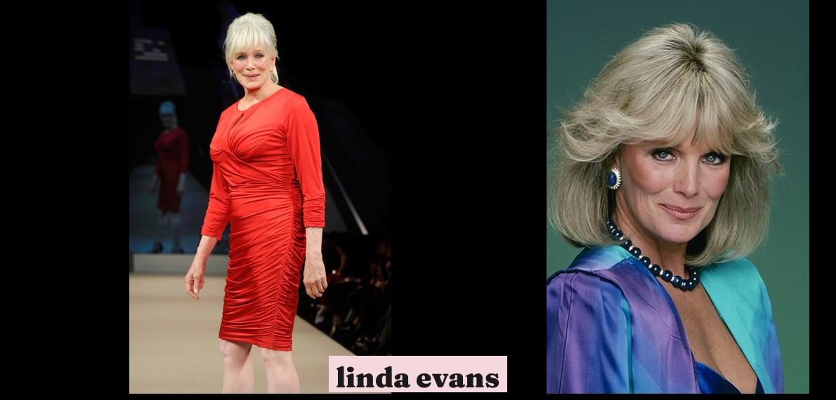 Linda Evans : De la reine du soap opéra à la sérénité de son ranch dans ...