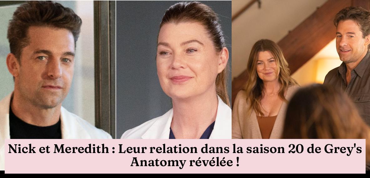 Nick et Meredith : Leur relation dans la saison 20 de Grey's Anatomy ...