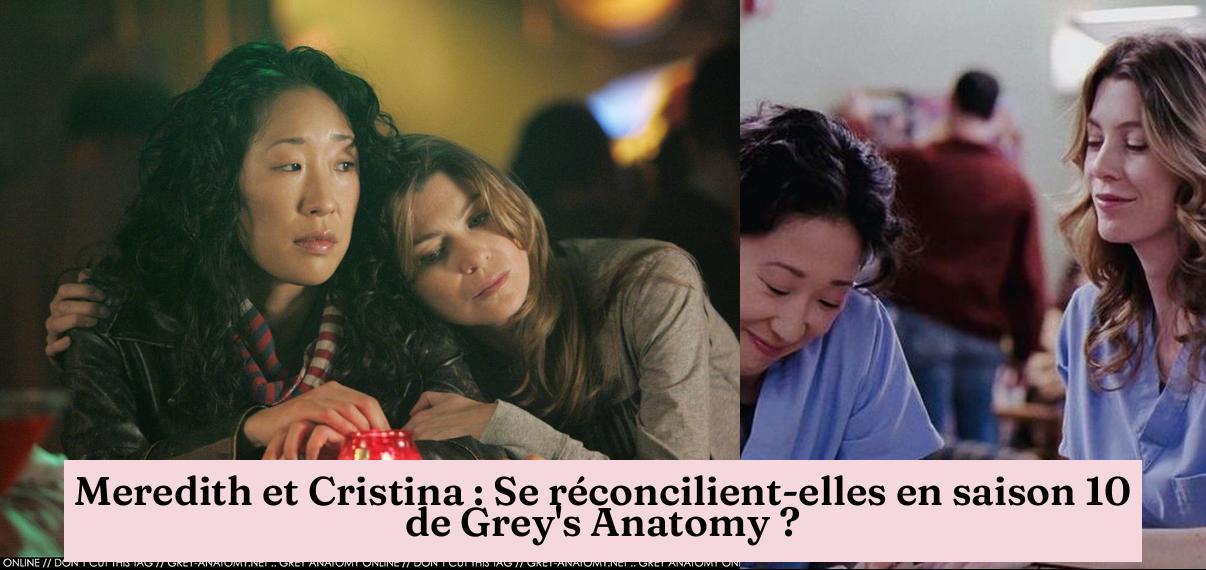 Meredith et Cristina : Se réconcilient-elles en saison 10 de Grey's ...