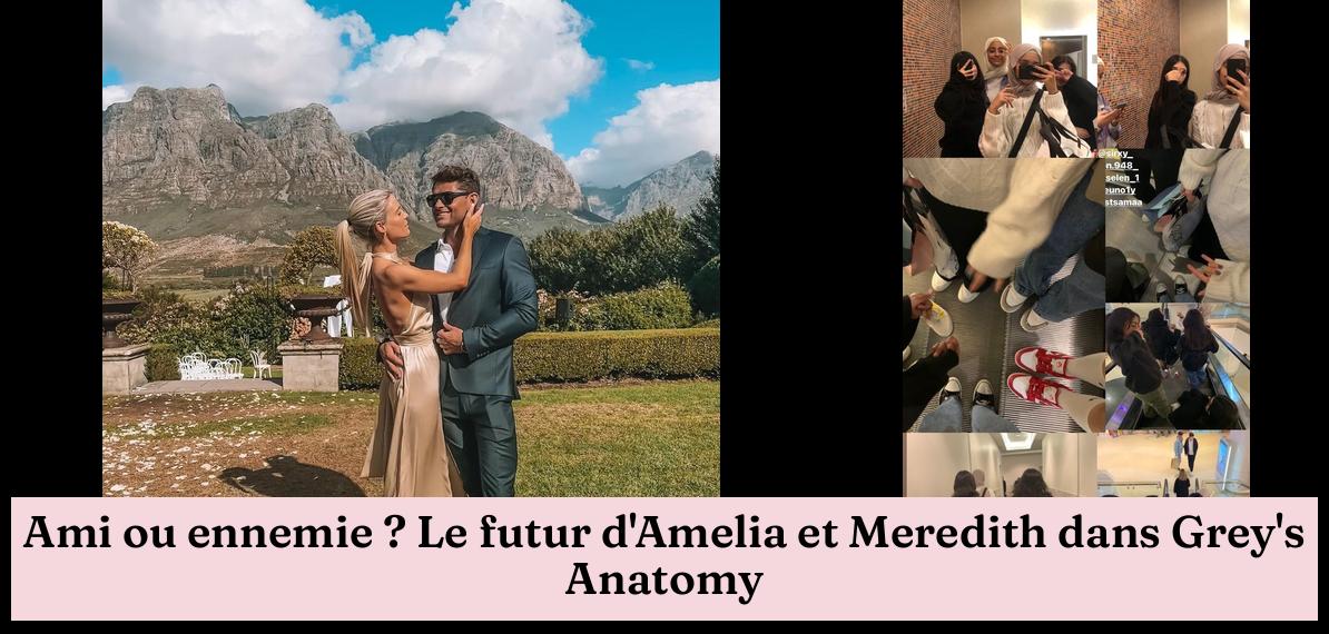 Ami ou ennemie ? Le futur d'Amelia et Meredith dans Grey's Anatomy ...