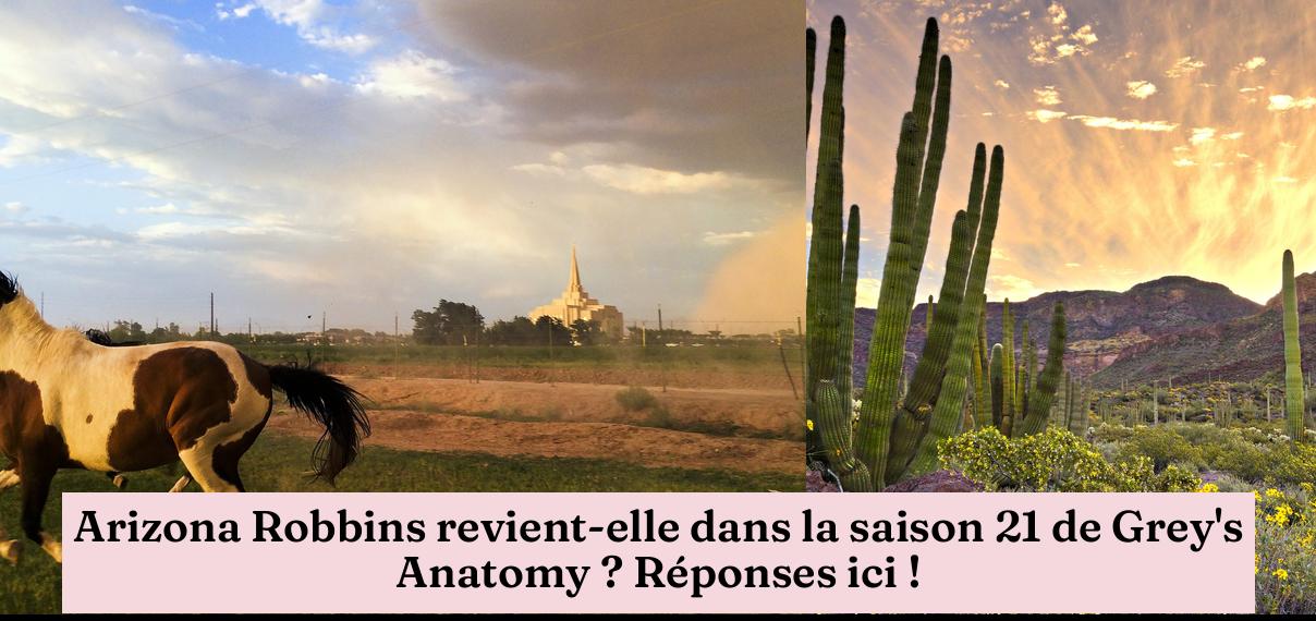 Arizona Robbins revient-elle dans la saison 21 de Grey's Anatomy ...