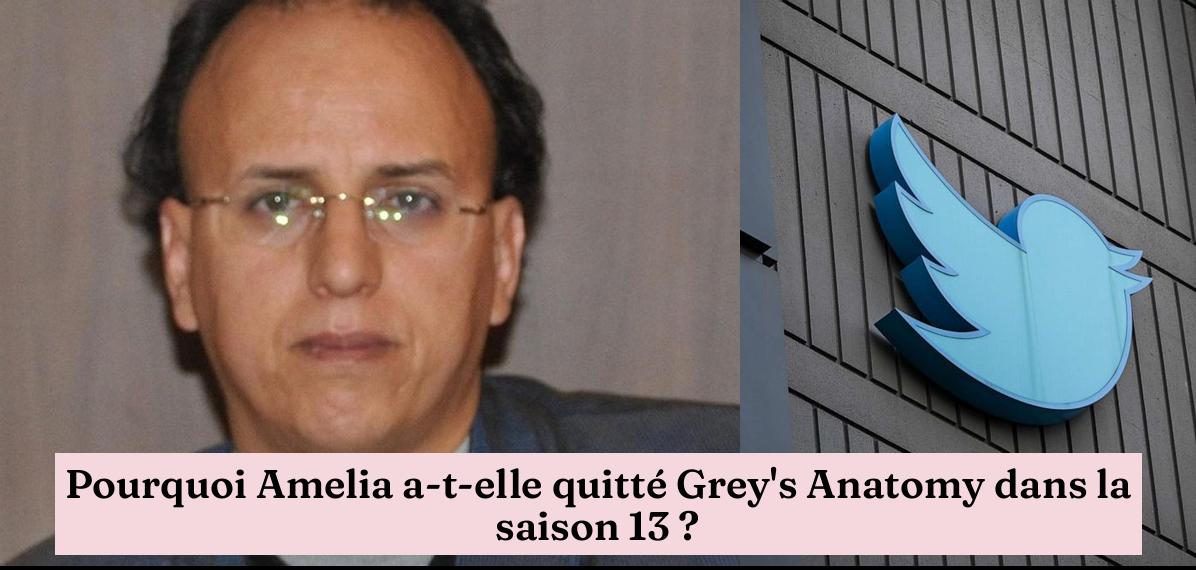 Pourquoi Amelia a-t-elle quitté Grey's Anatomy dans la saison 13 ...