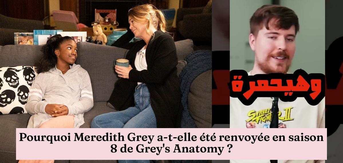 Pourquoi Meredith Grey a-t-elle été renvoyée en saison 8 de Grey's ...
