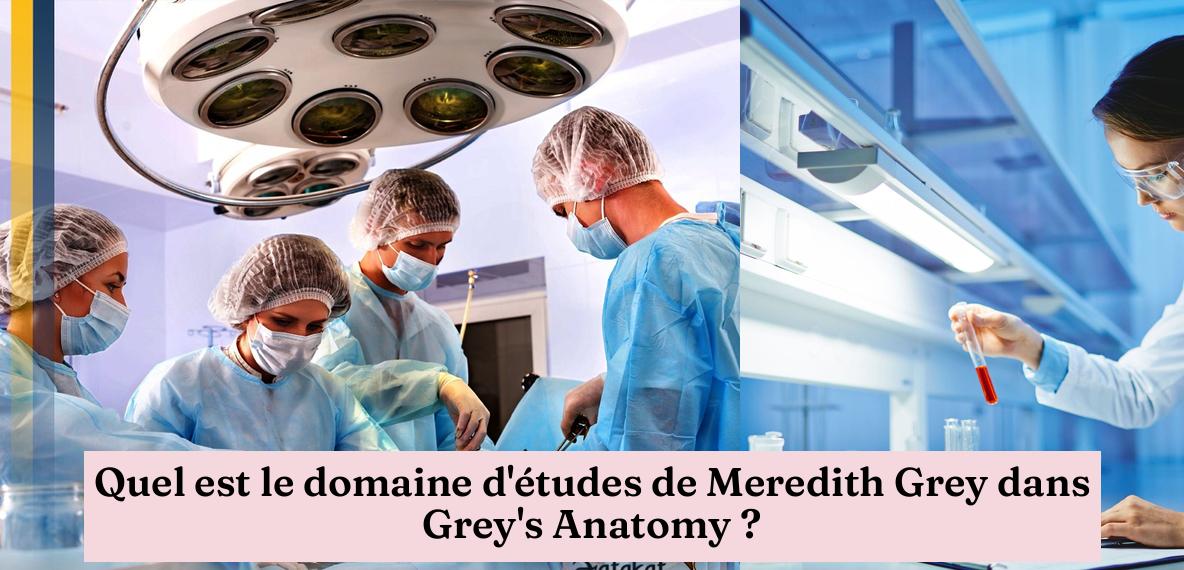 Quel est le domaine d'études de Meredith Grey dans Grey's Anatomy ...
