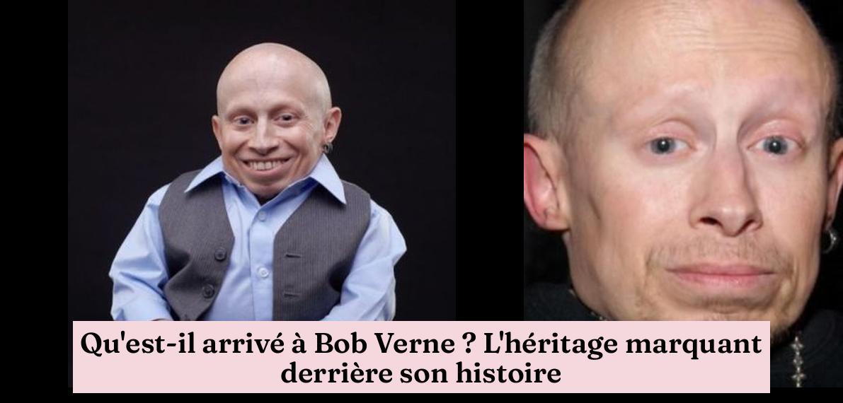 Qu'est-il arrivé à Bob Verne ? L'héritage marquant derrière son ...