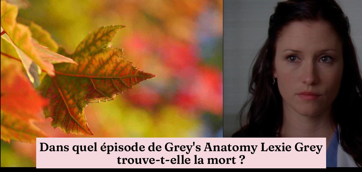 Dans quel épisode de Grey's Anatomy Lexie Grey trouve-t-elle la mort ...