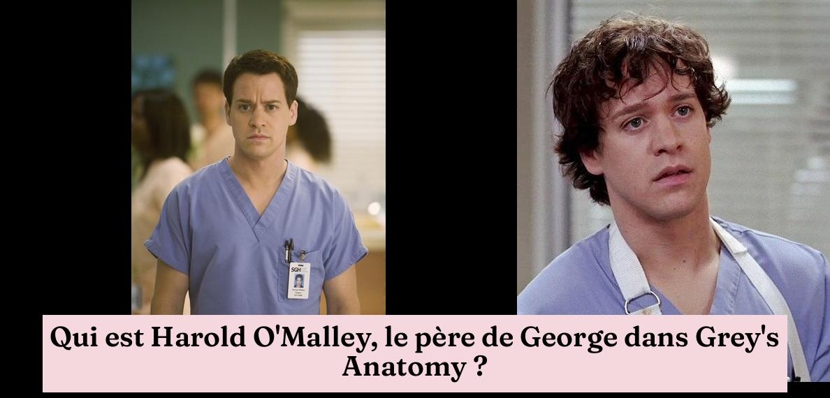 Qui est Harold O'Malley, le père de George dans Grey's Anatomy ...