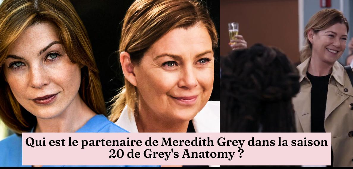 Qui est le partenaire de Meredith Grey dans la saison 20 de Grey's ...