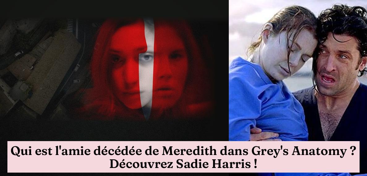 Qui est l'amie décédée de Meredith dans Grey's Anatomy ? Découvrez ...