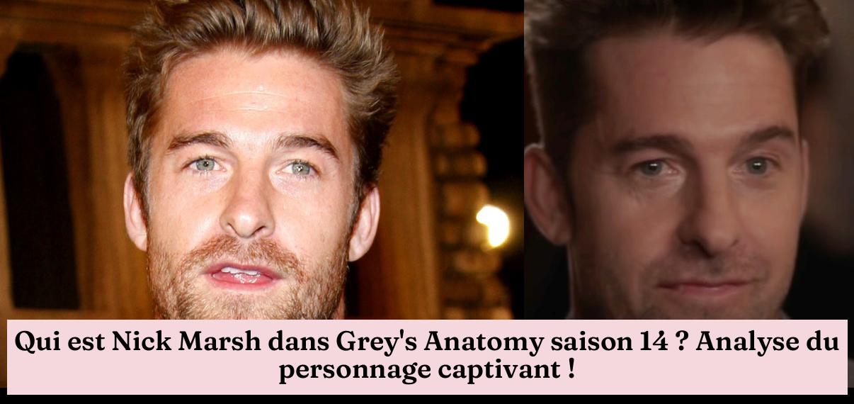 Qui est Nick Marsh dans Grey's Anatomy saison 14 ? Analyse du ...