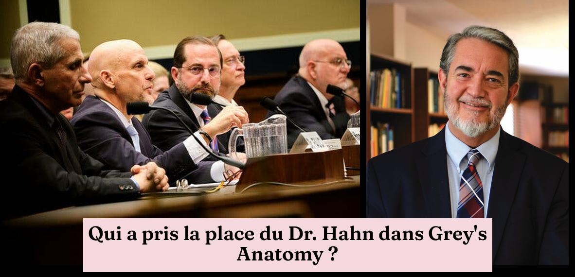 Qui a pris la place du Dr. Hahn dans Grey's Anatomy ? - IMAGYNA : Votre ...