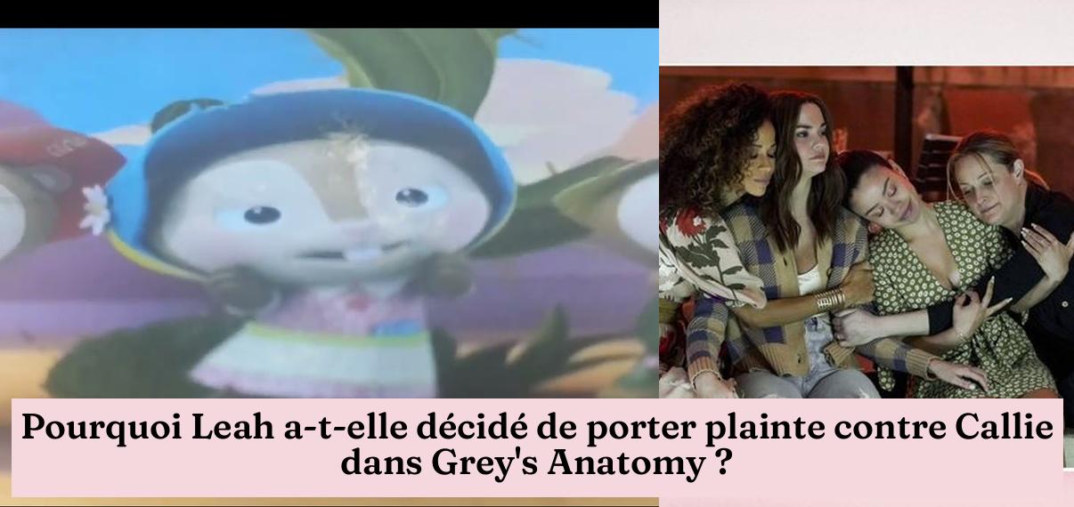 Pourquoi Leah a-t-elle décidé de porter plainte contre Callie dans Grey ...