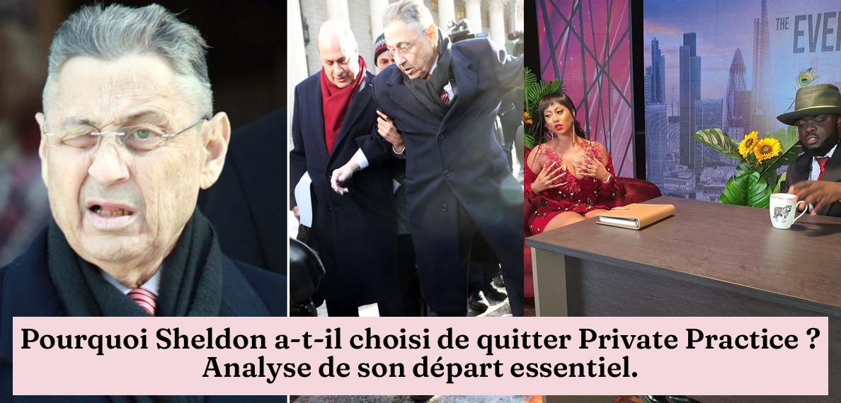 Pourquoi Sheldon a-t-il choisi de quitter Private Practice ? Analyse de ...